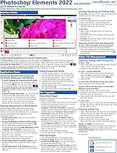 Mastering Adobe Illustrator Live Paint: A Step-By-Step Guide | CyPaint