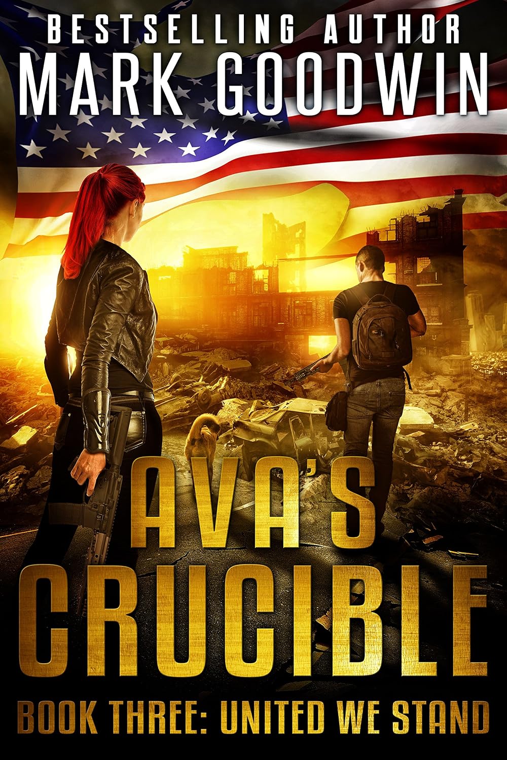 United We Stand: A Post-Apocalyptic Novel of America's Coming Civil War ...