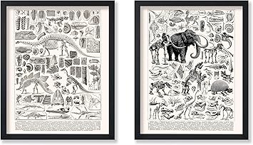 Amazon.com: Poster Master 2-Piece Vintage Paleontology Poster - Retro ...