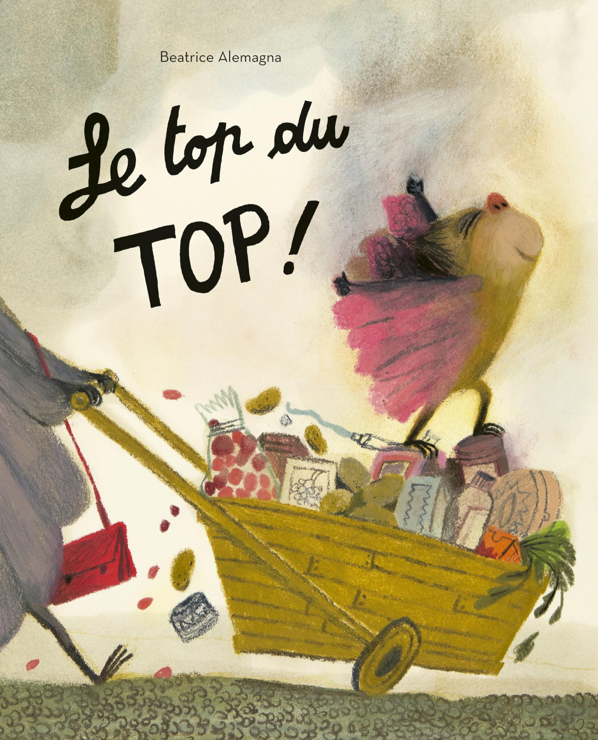 Amazon.com: Le top du TOP !: 9782211331432: Alemagna, Beatrice: Books