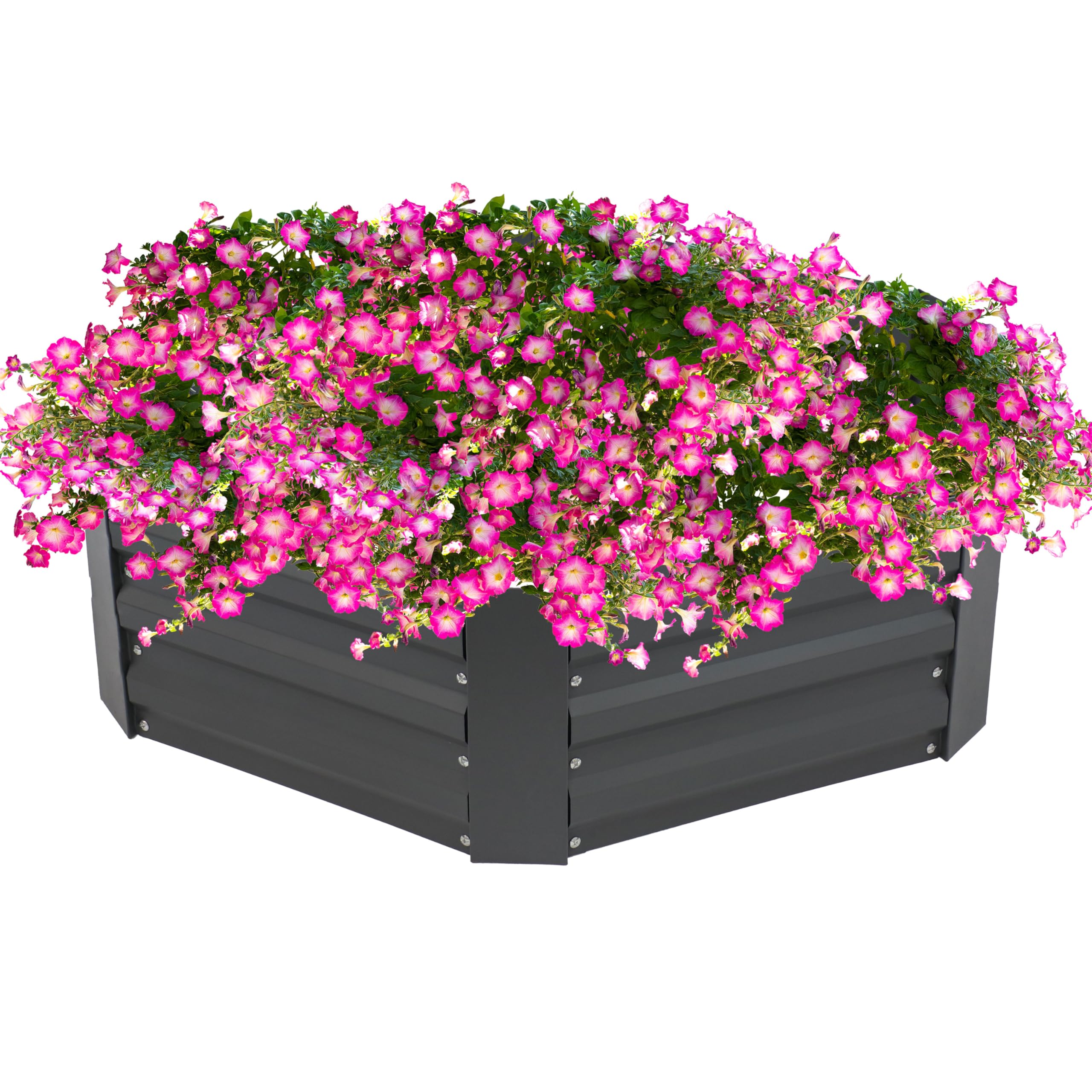 Amazon.com: Sunnydaze Galvanized Steel Hexagon Raised Garden Bed - for ...