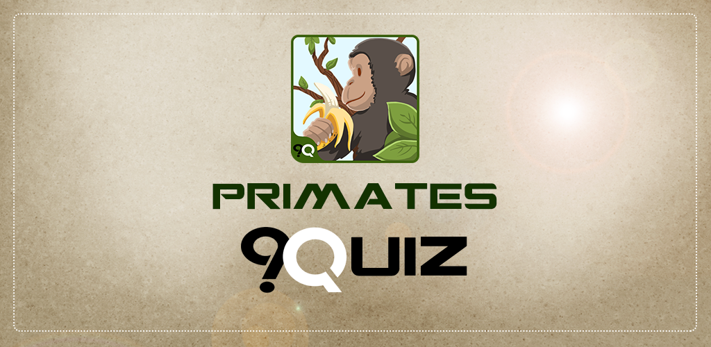 Primate Trivia Questions at Tamara Wickline blog