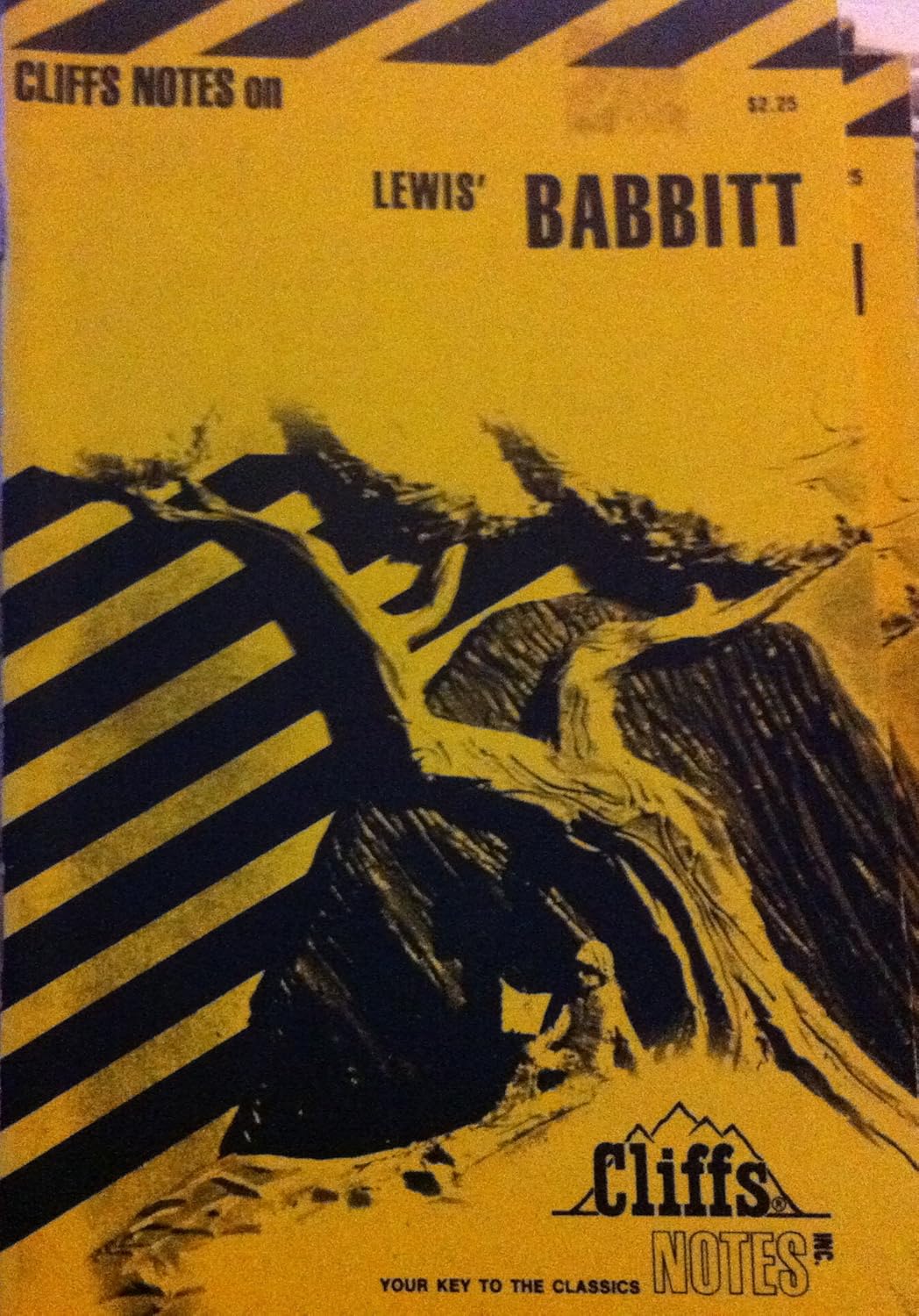 Cliff's Notes on Babbitt Notes: Robert J. Milch: Amazon.com: Books