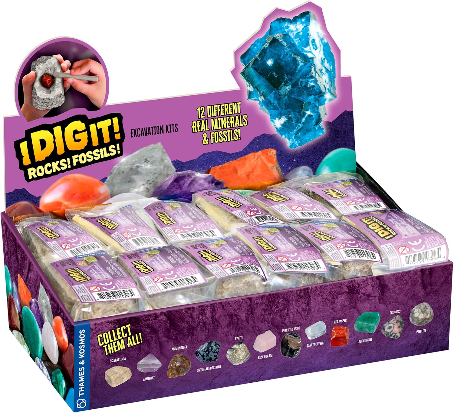Amazon.com: Thames & Kosmos I Dig It! Rocks & Fossils Excavation Gift ...