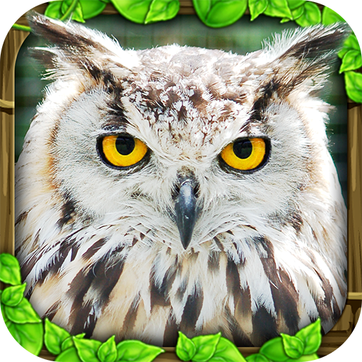 Owl Simulator - App on Amazon Appstore