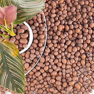 Amazon.com : 12.5LBS Leca Balls Clay Pebbles for Plants, 8mm-12mm ...