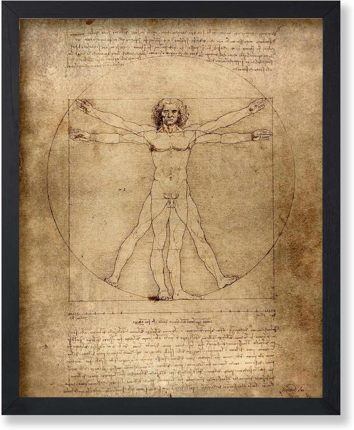 Amazon.com: Poster Master Classic Leonardo Da Vinci Poster - Vintage ...