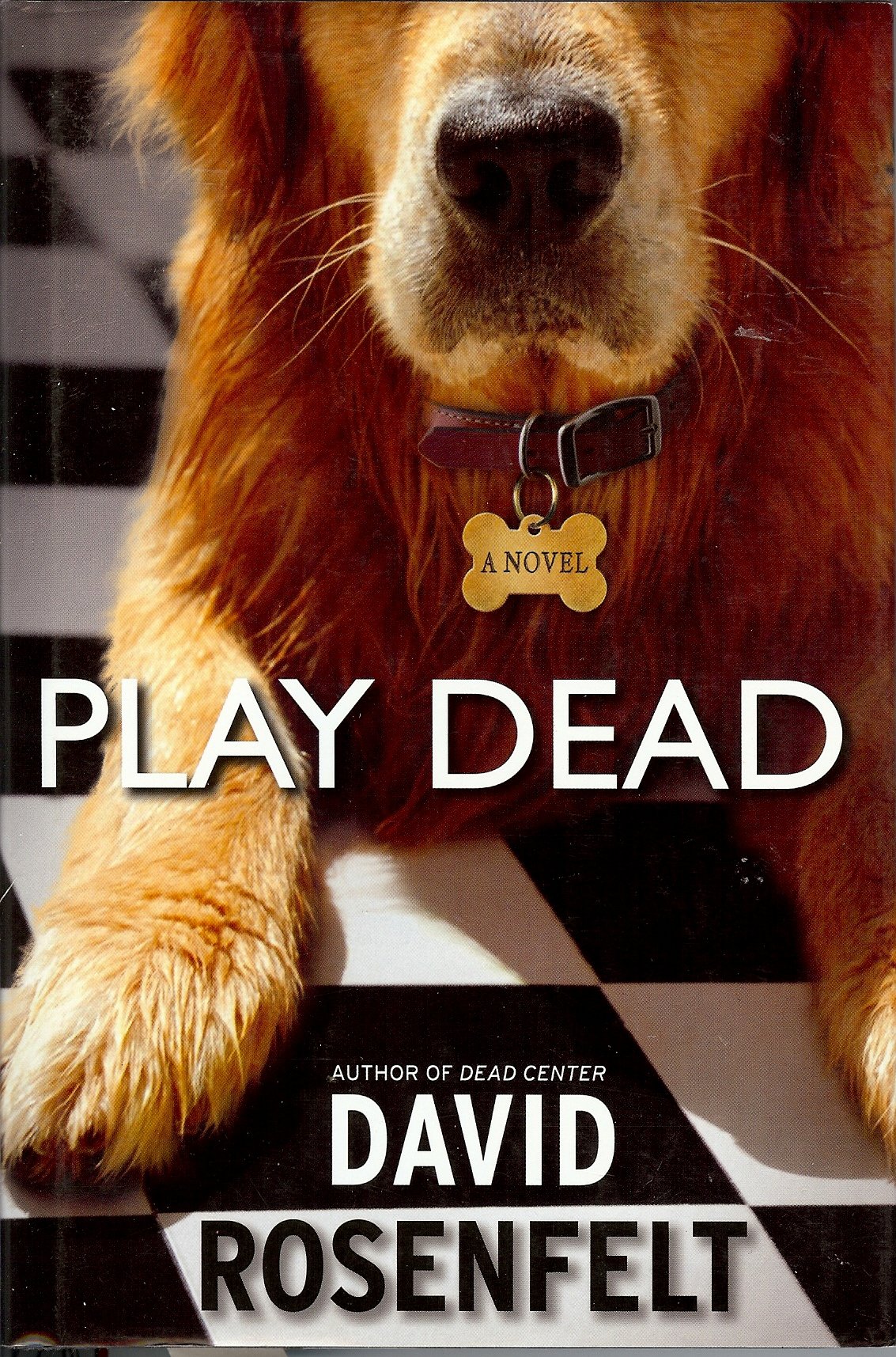 Play Dead: A Novel: Rosenfelt, David: 9780446582414: Amazon.com: Books