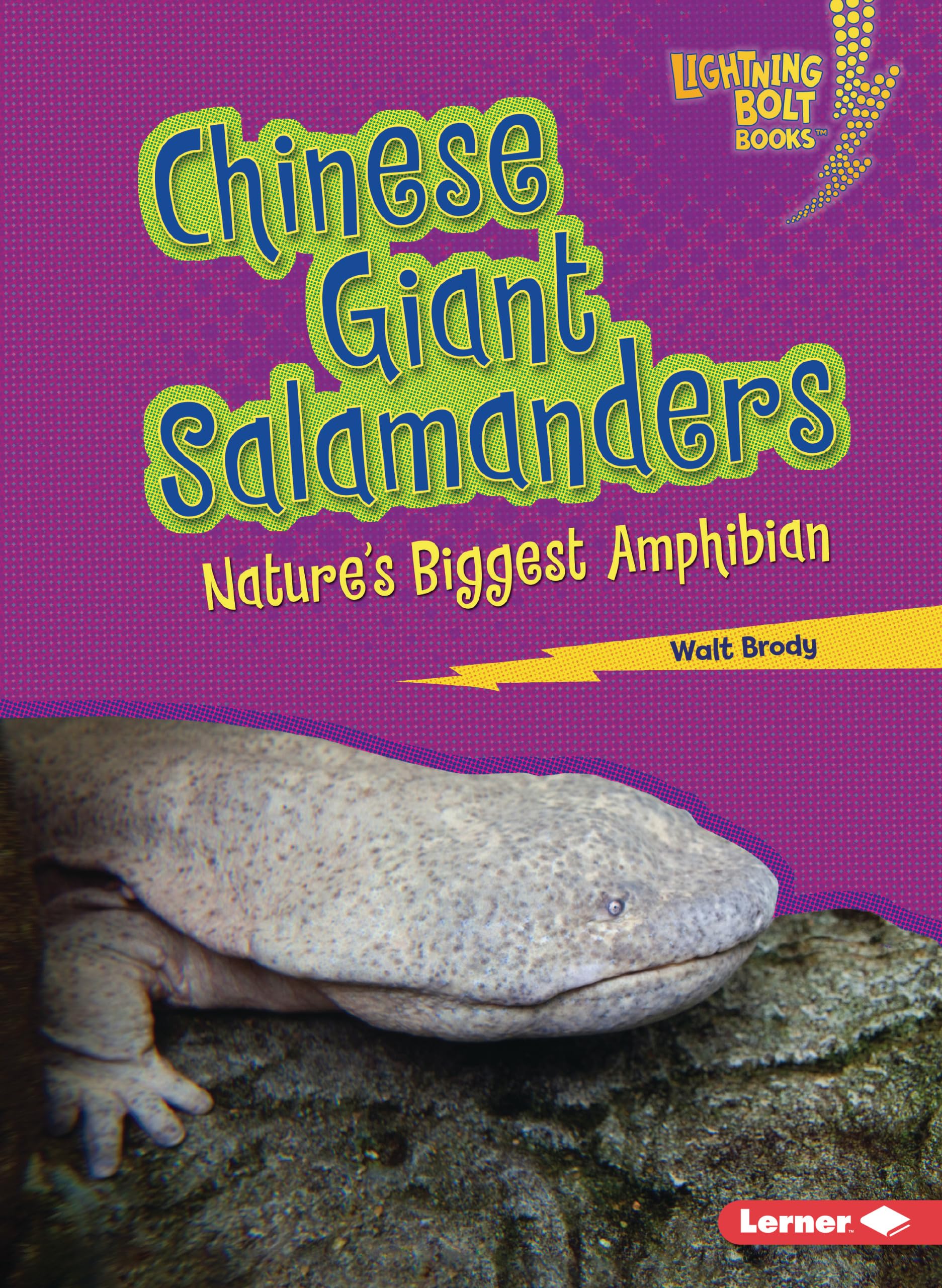 Chinese Giant Salamanders: Nature's Biggest Amphibian (Lightning Bolt ...