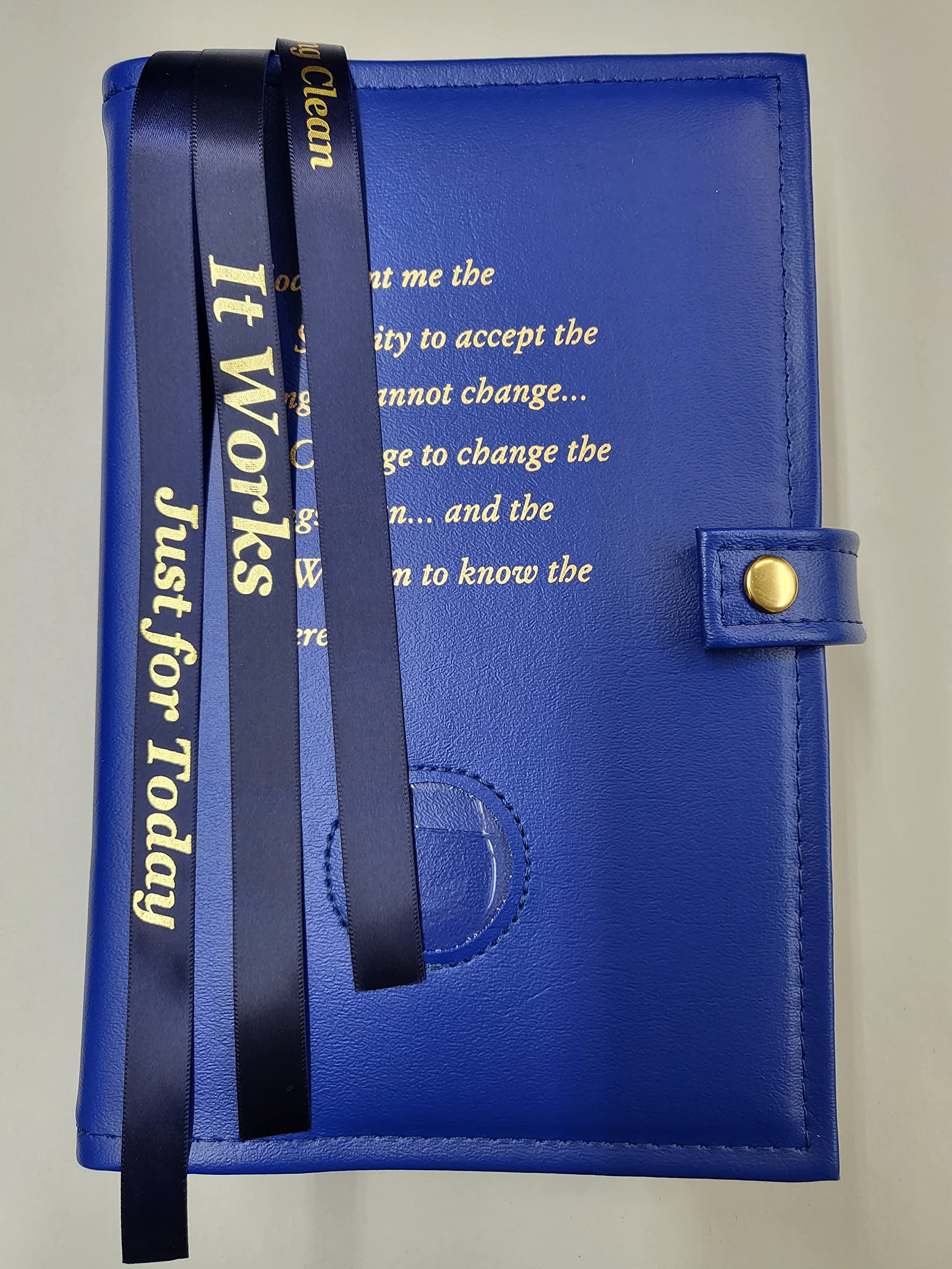 Amazon.com: Blue DELUXE Triple NA Book Cover for The Basic Text (6th Ed ...