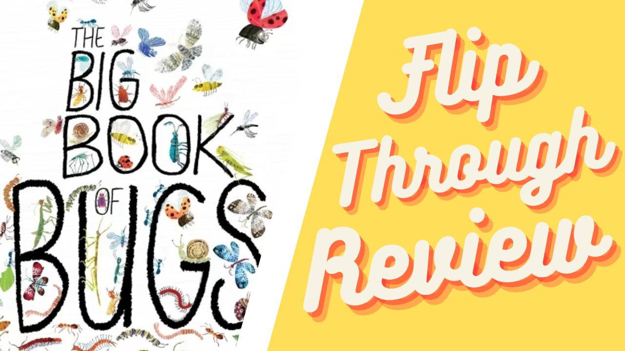 Watch Flip through review of The Big Book of Bugs on Amazon Live