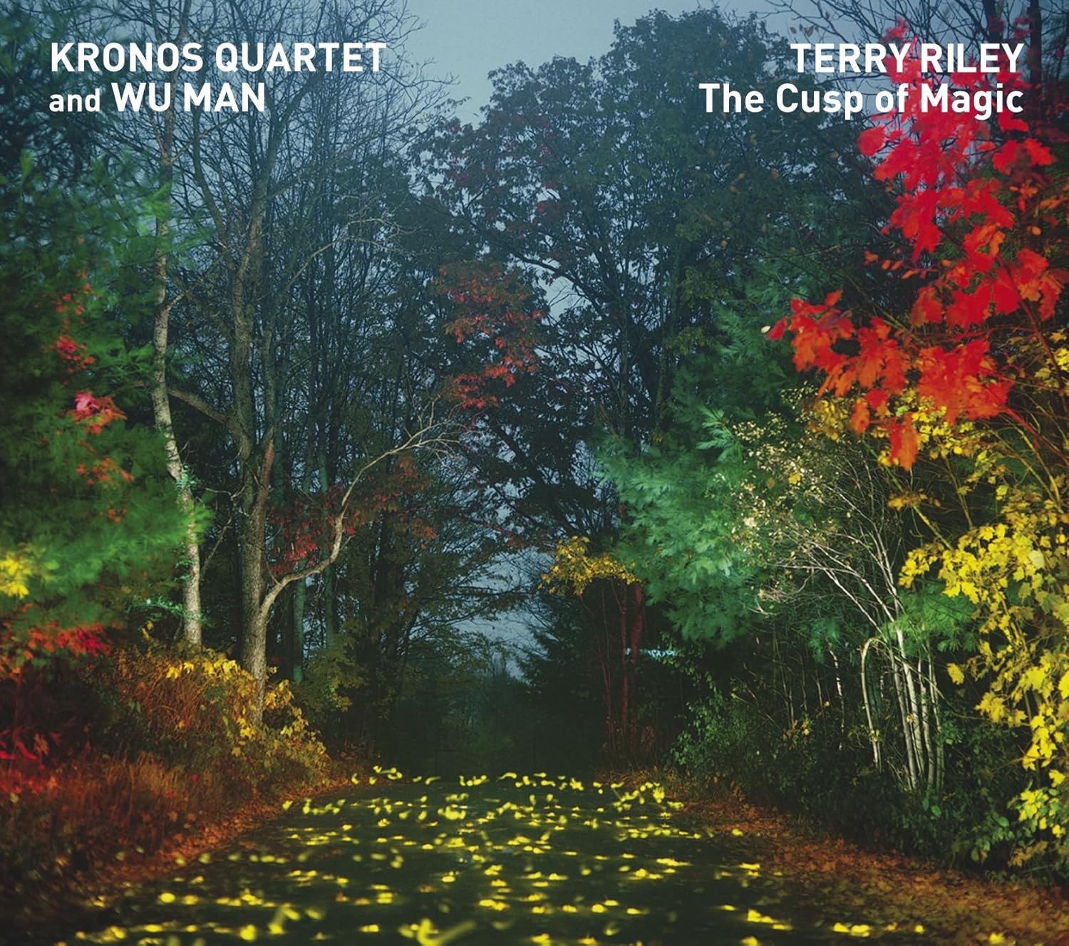 Terry Riley : The Cusp Of Magic: Amazon.co.uk: CDs & Vinyl
