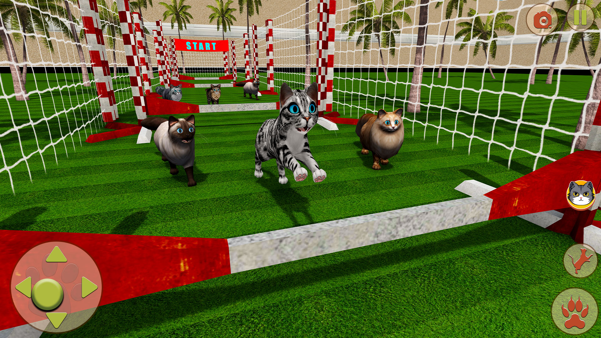 Wander Cat Simulator Games - App on Amazon Appstore