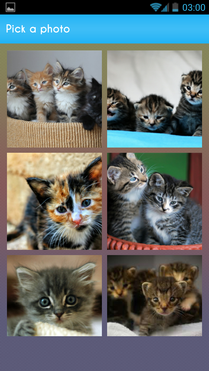 Cute Cats Puzzle - App on Amazon Appstore