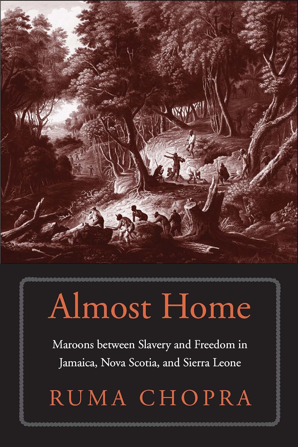 Almost Home: Maroons between Slavery and Freedom in Jamaica, Nova ...