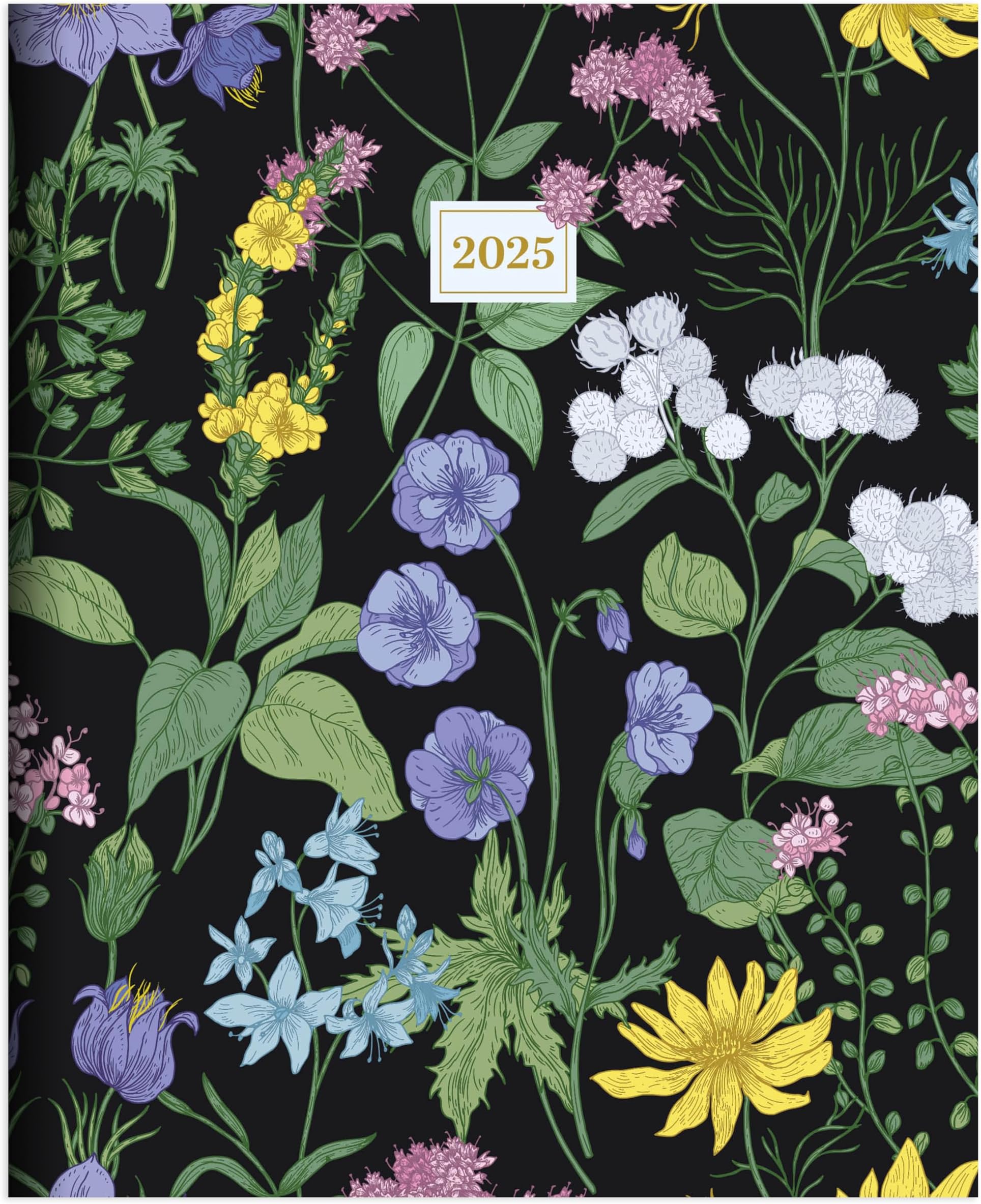 Amazon.com : TF Publishing July 2025 - June 2026 Peaks and Valleys ...