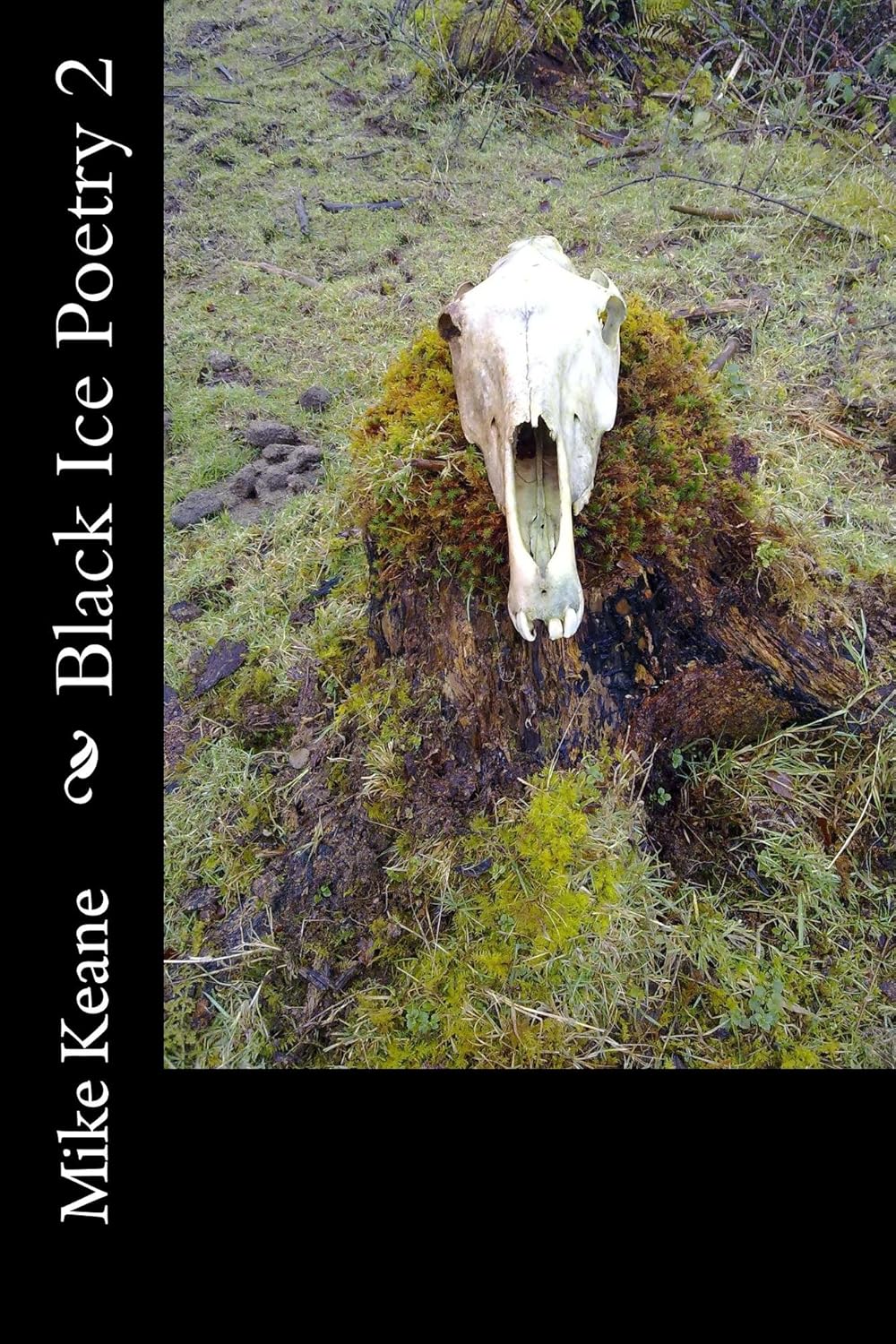 Black Ice Poetry 2 - Kindle edition by Keane, Mike. Literature ...