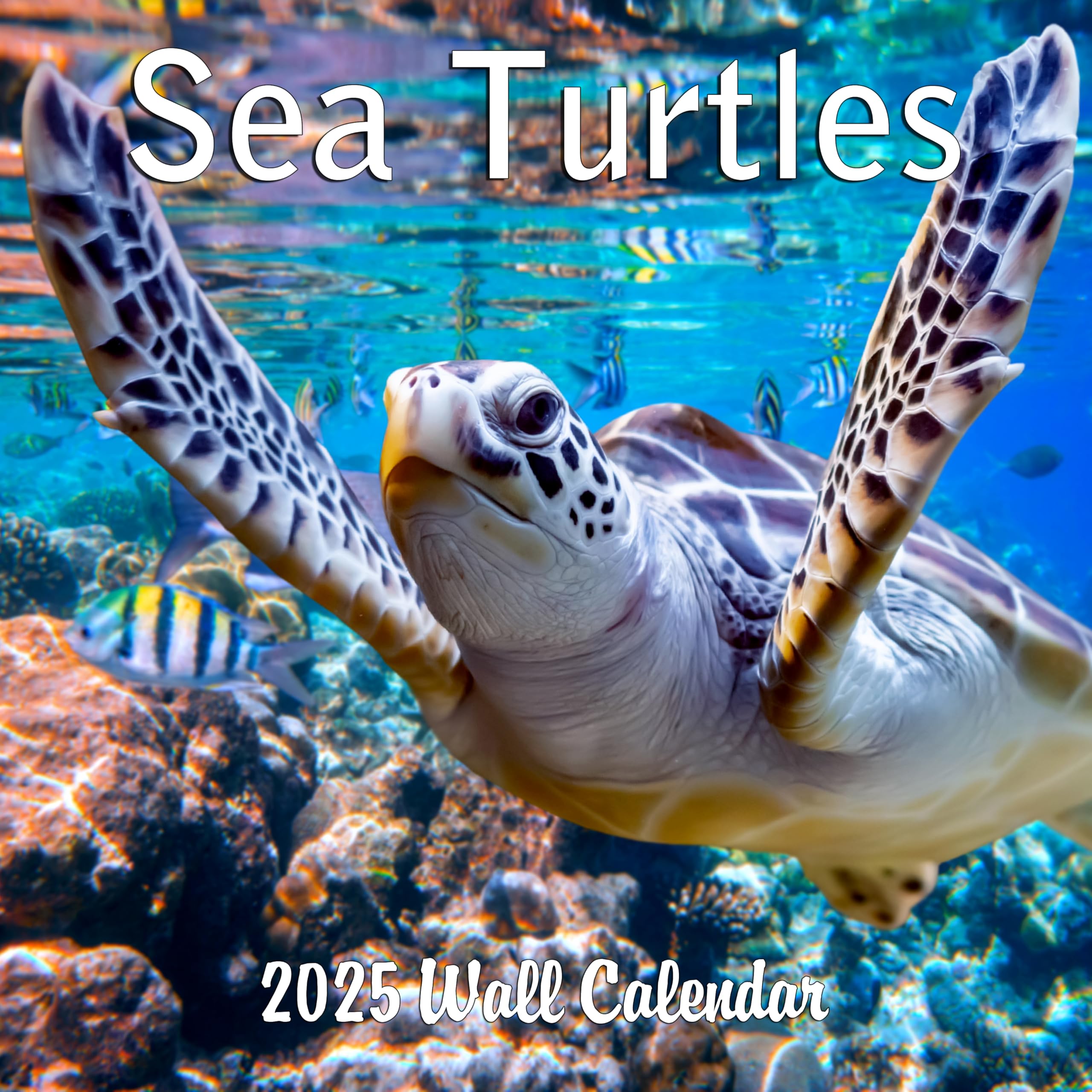 Amazon.com: 2025 Sea Turtles Monthly Wall Calendar | 12" x 24" | Thick ...
