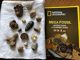NATIONAL GEOGRAPHIC Mega Fossil Dig Kit - Excavate 15 Genuine ...