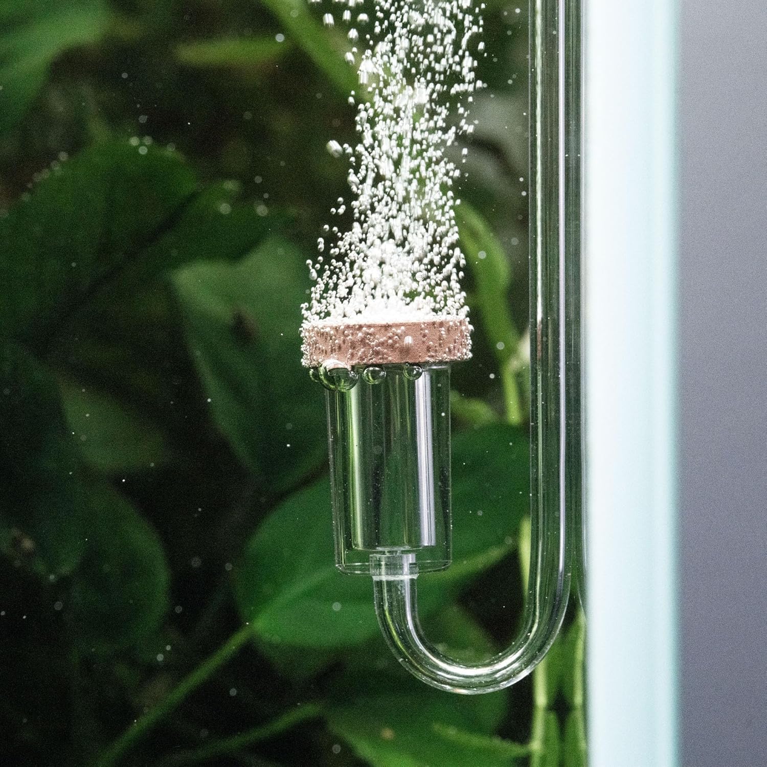 Amazon.com : Aquario Neo CO2 Aquarium Diffuser - CO2 Diffuser Aquarium ...