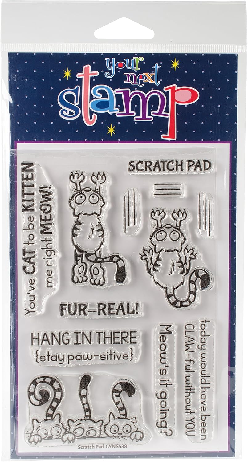 Amazon.com: Your Next Stamp CYNS538 Clear Stamps 4"X6"-Scratch Pad ...