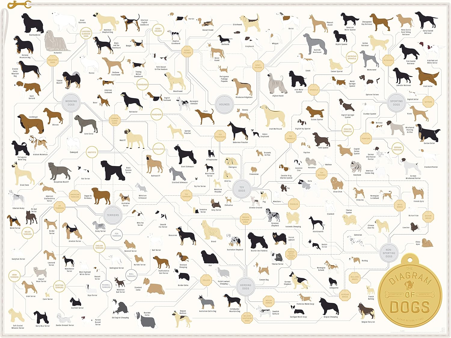 Chien Races Poster - Le schéma de Chiens (24 x 18) par Tableau Pop Lab ...