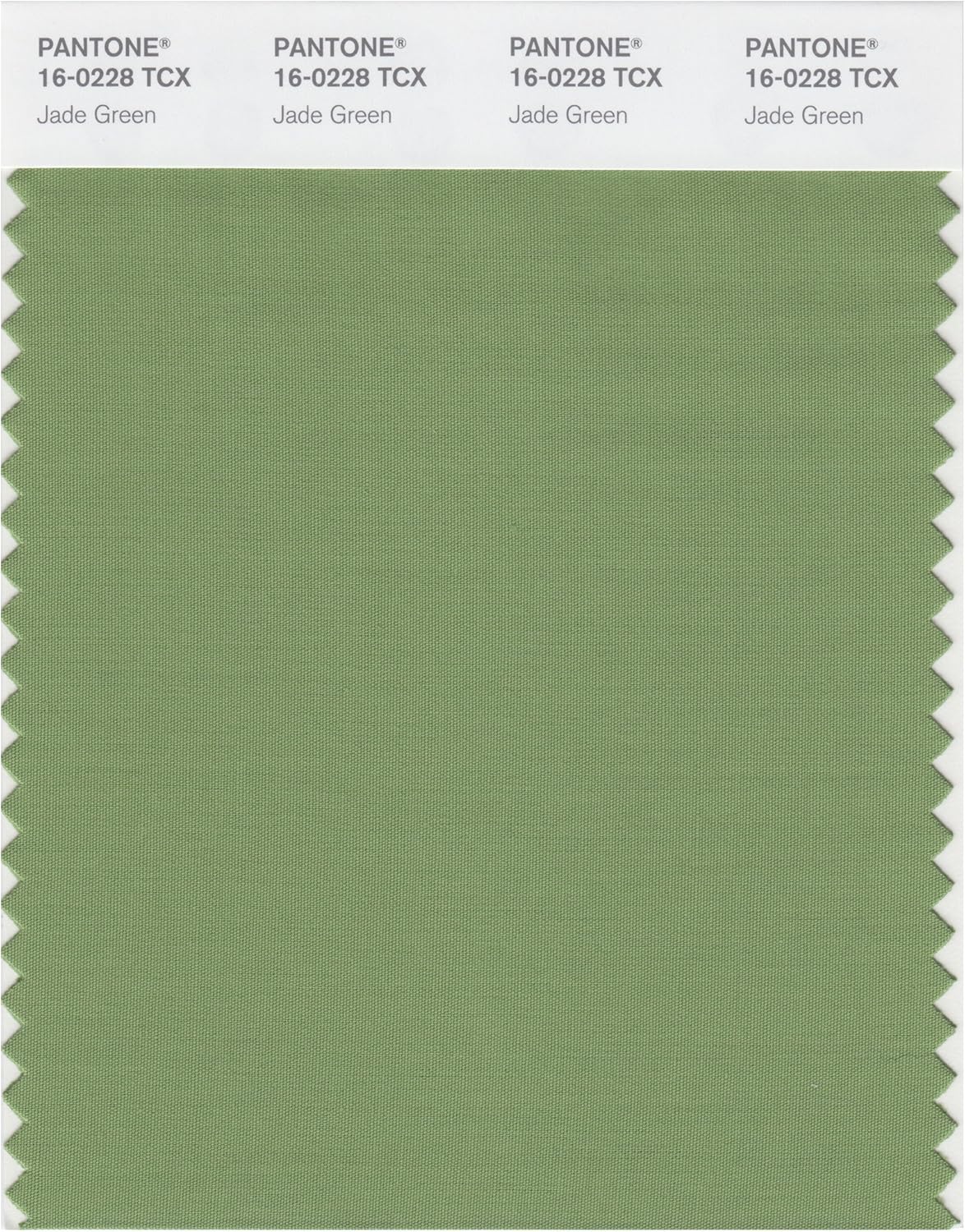 PANTONE SMART 16-0228X Color Swatch Card, Jade Green - House Paint ...