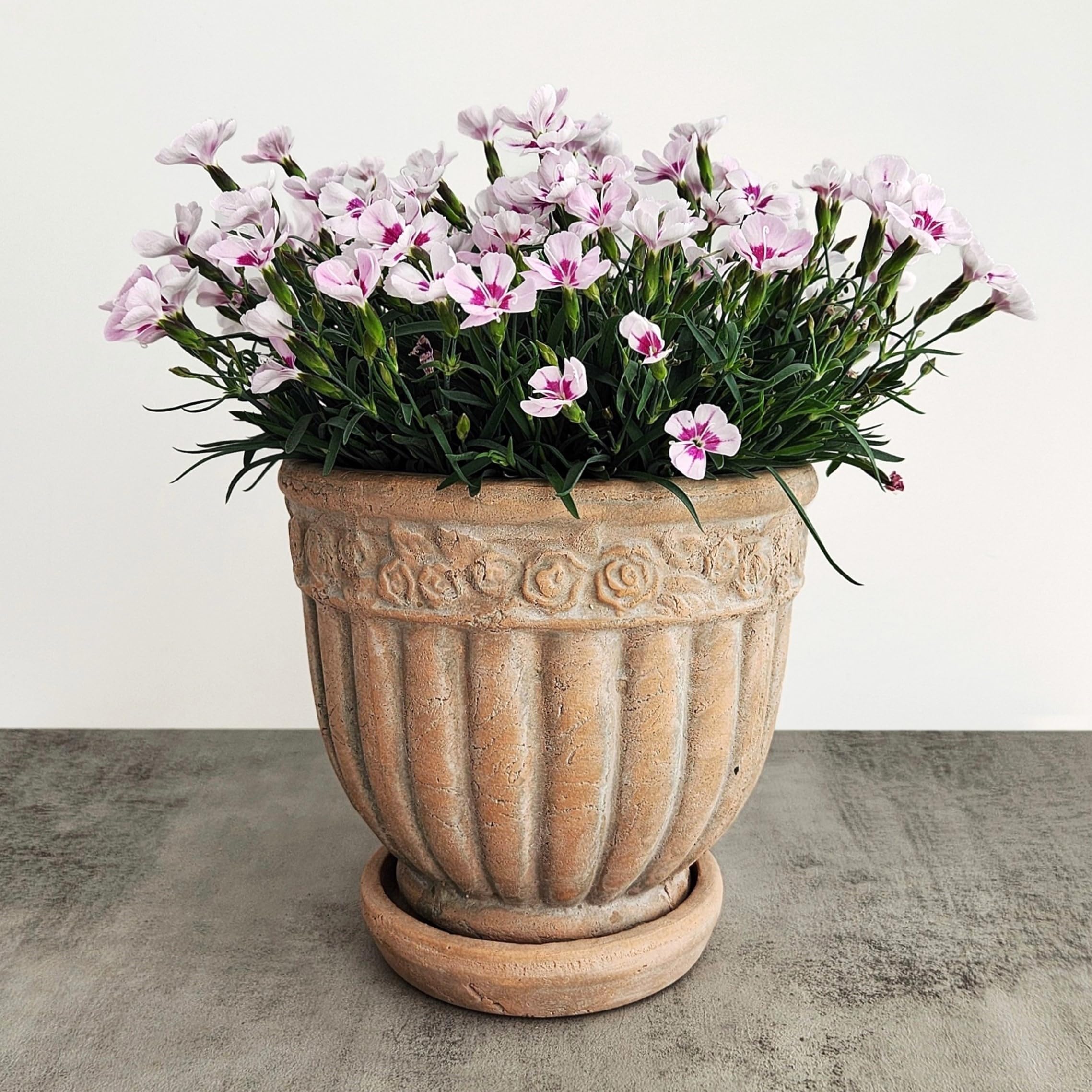 Amazon.com : Wavy Studio 8" Rustic Weathered Terracotta Plant Pot with ...