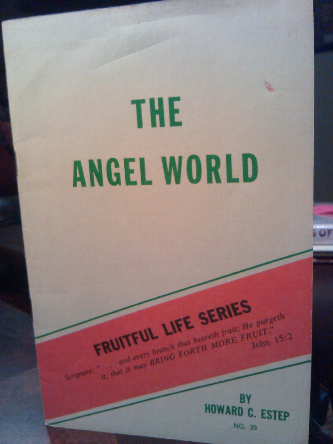 Angel World: Estep, Howard C.: Amazon.com: Books