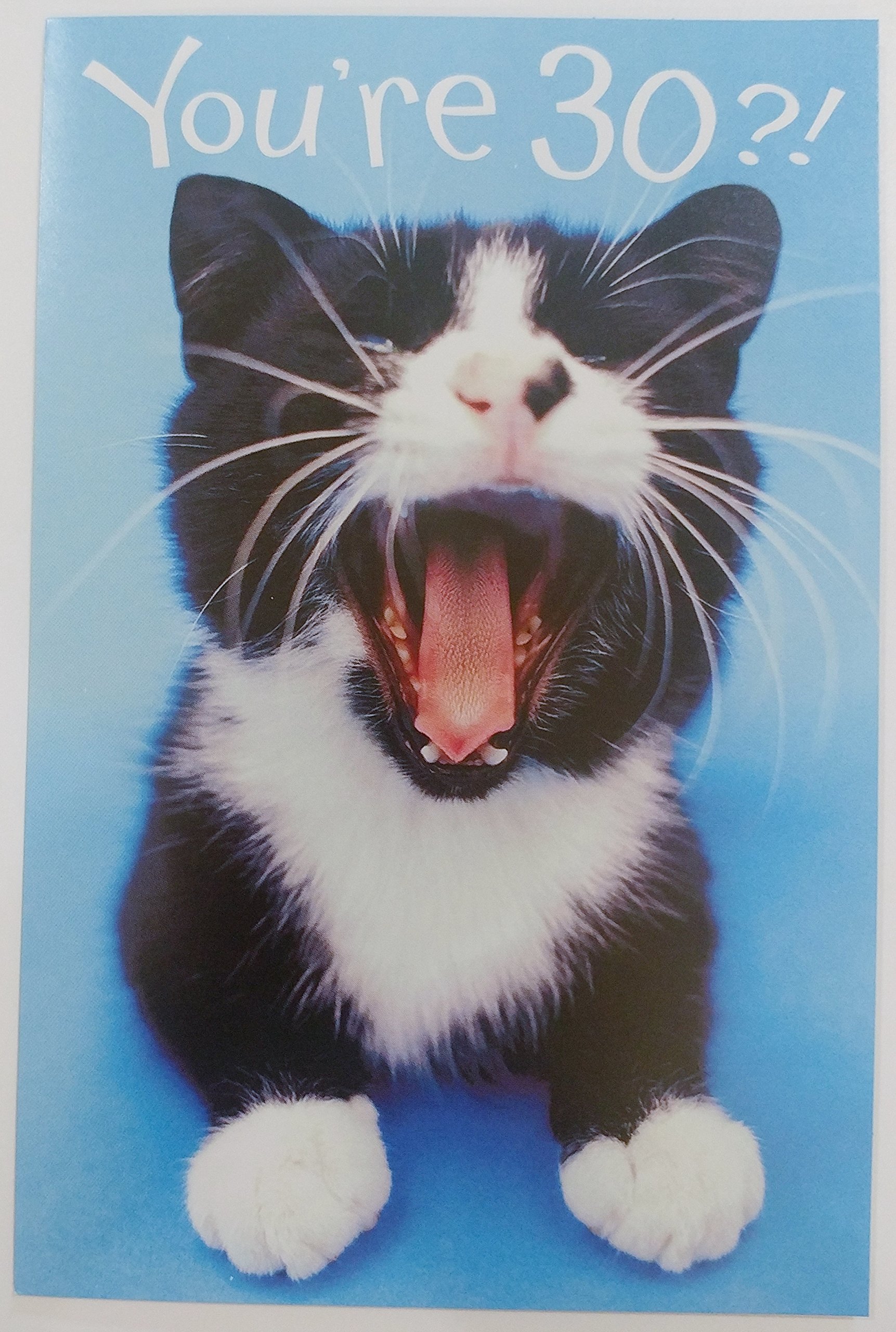 Happy 30th Birthday Cat Meme 30th Cat Birthday Cards & Templates