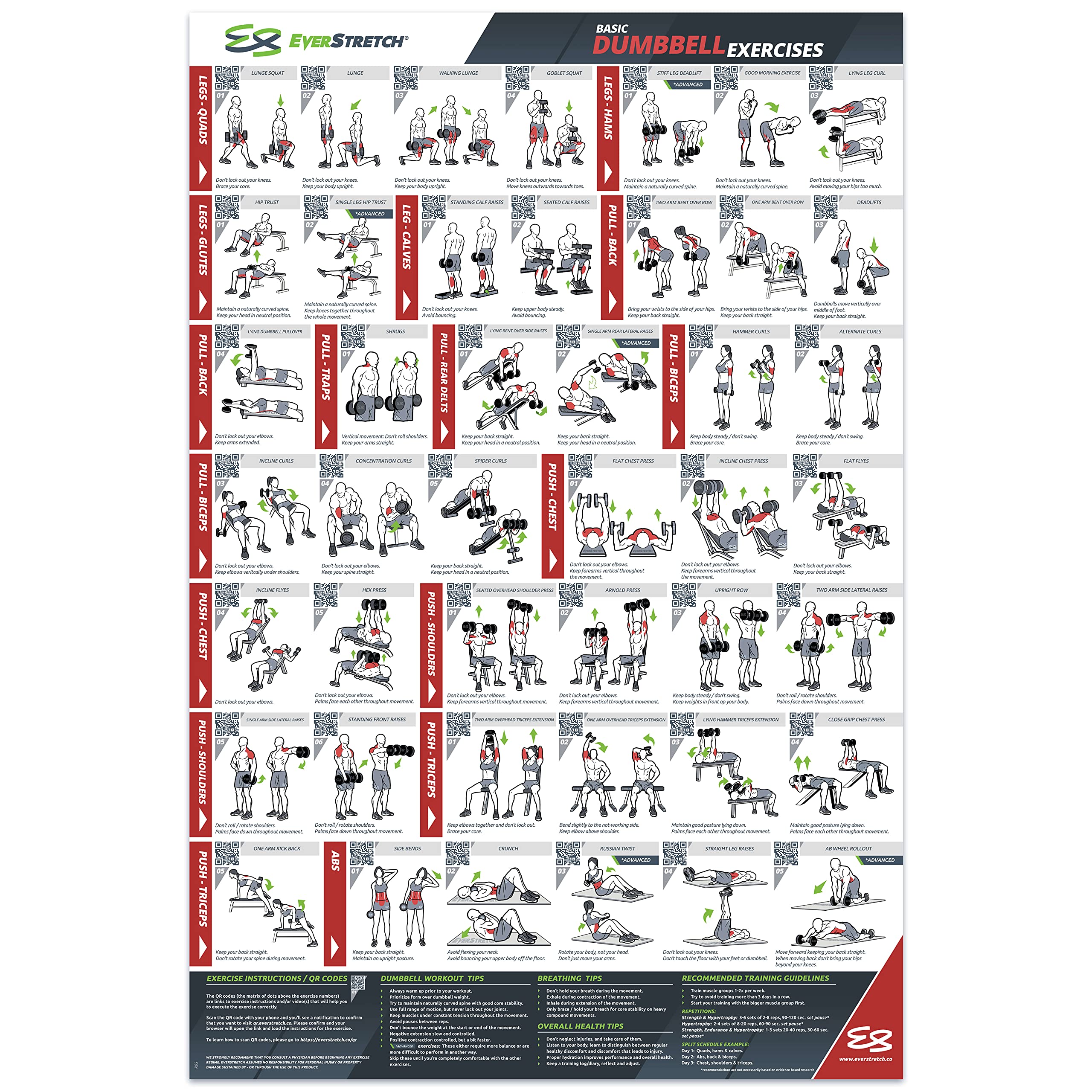 Buy EverStretch Dumbbell Workout for Home Gym - 24" x 36" Laminated ...
