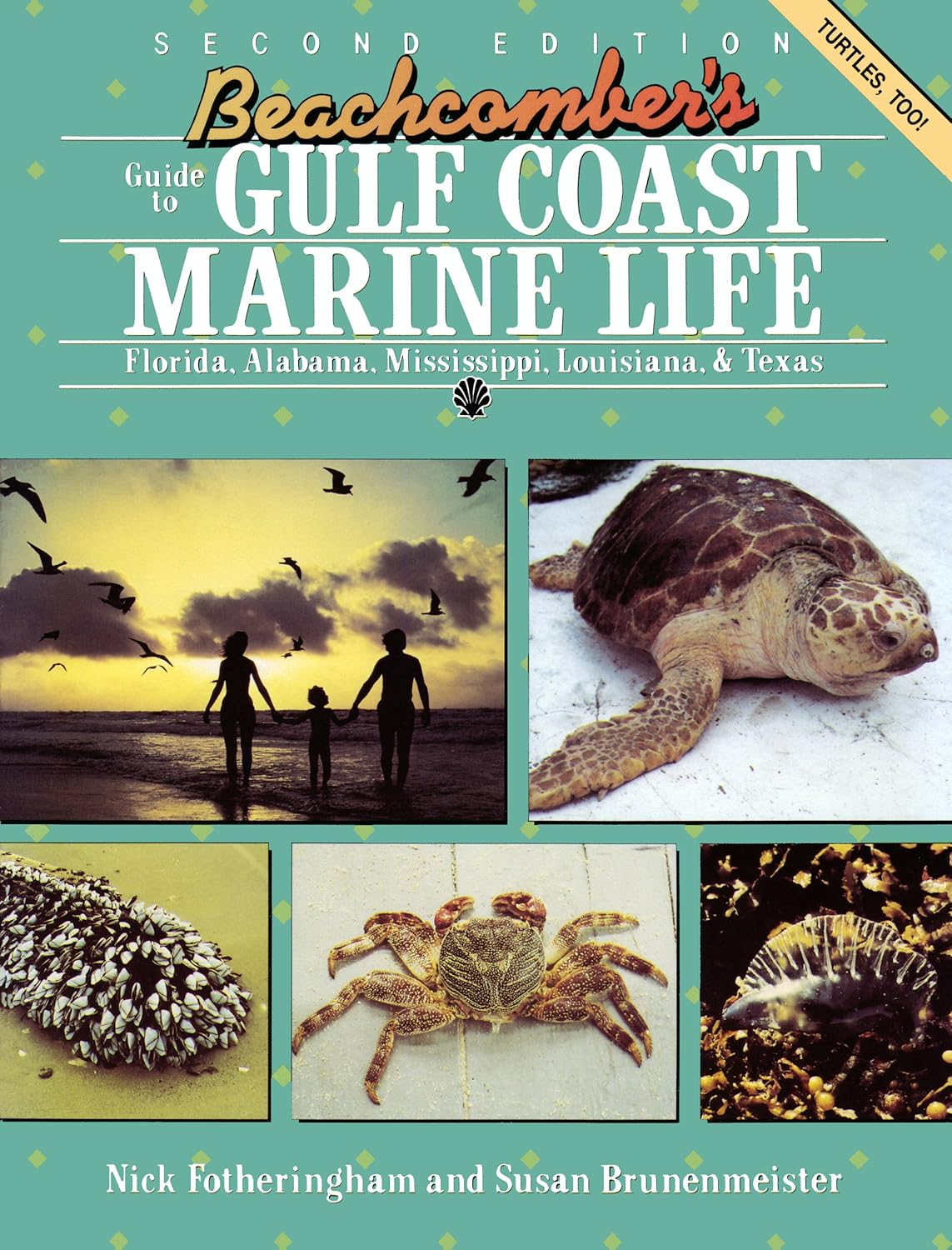 Beachcomber's Guide to Gulf Coast Marine Life: Florida, Alabama ...
