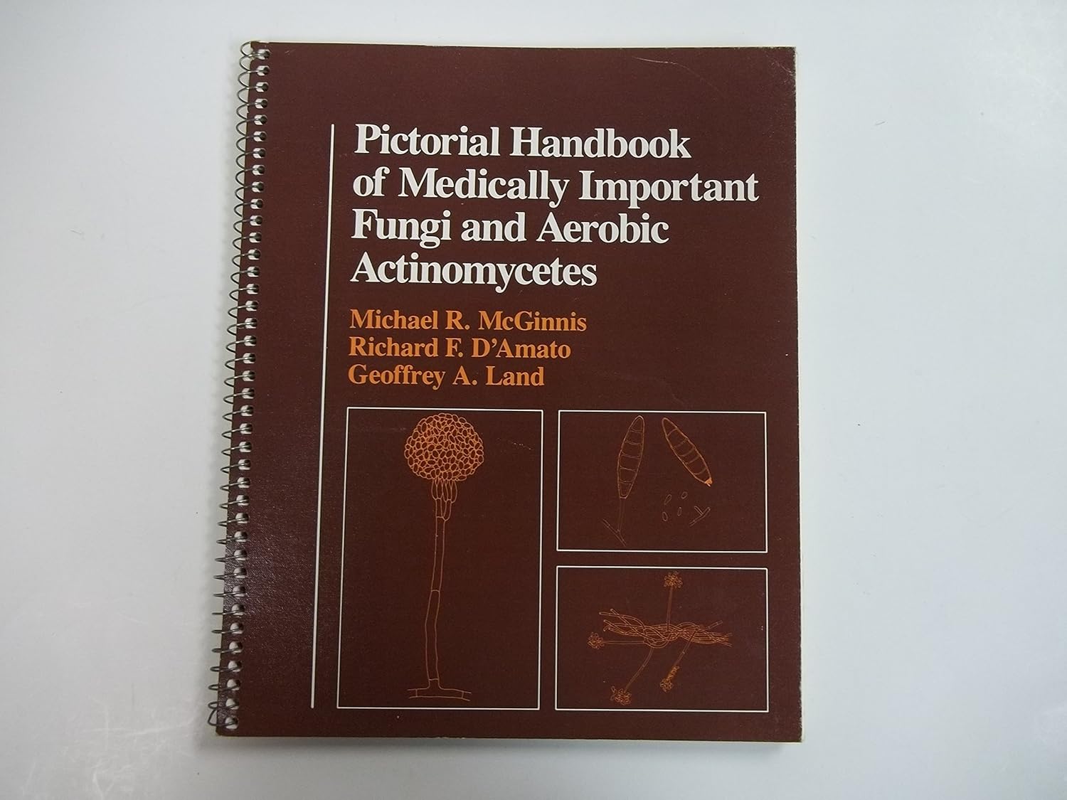 Buy Handbook for the Identification of Medically Important Fungi Book ...