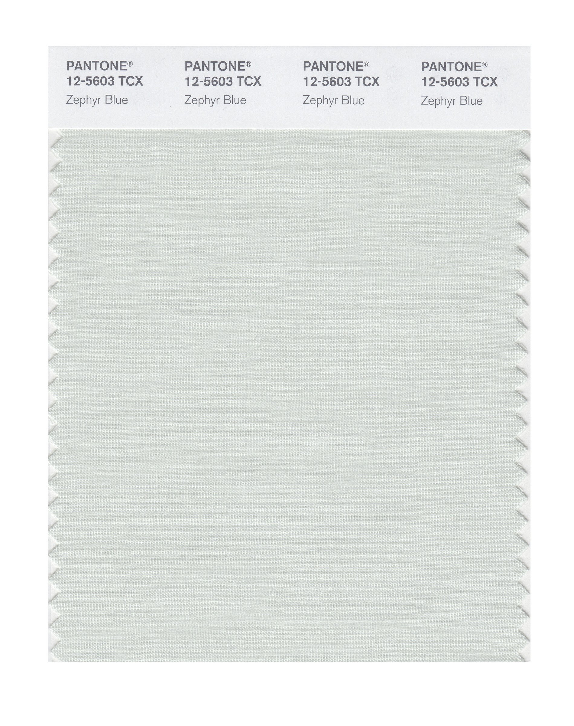 PANTONE Smart 12-5603X Color Swatch Card, Zephyr Blue - House Paint ...