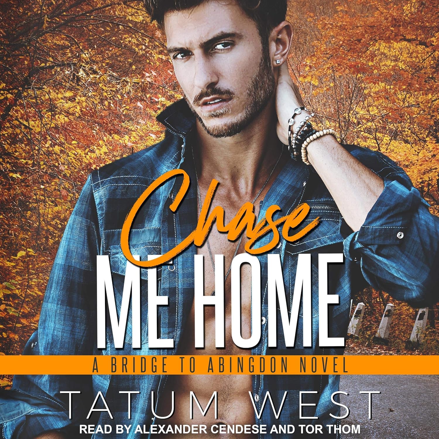 Amazon.com: Chase Me Home: Bridge to Abingdon Series, Book 3 (Audible ...