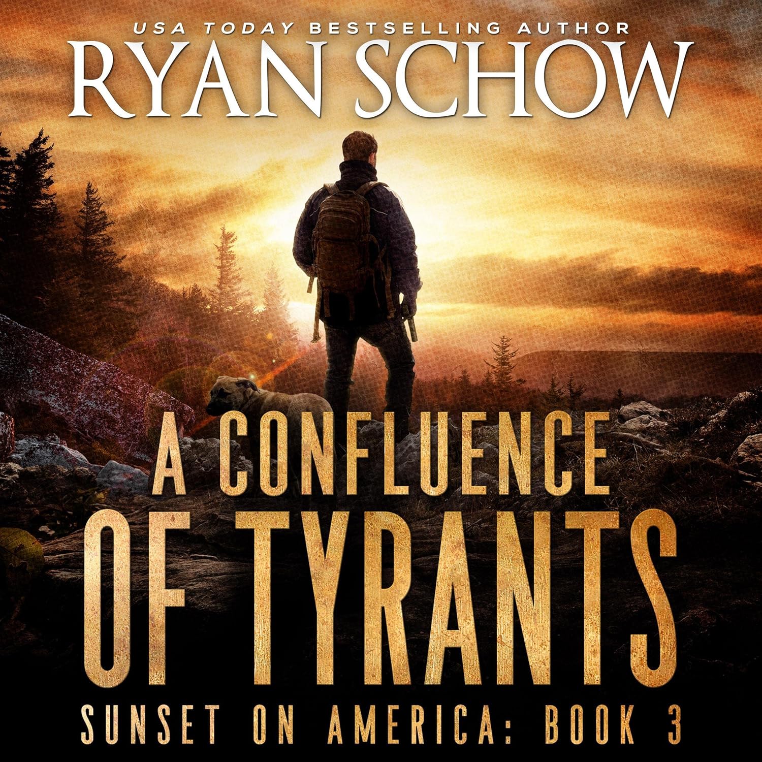 Amazon.com: A Confluence of Tyrants: Sunset on America, Book 3 (Audible ...