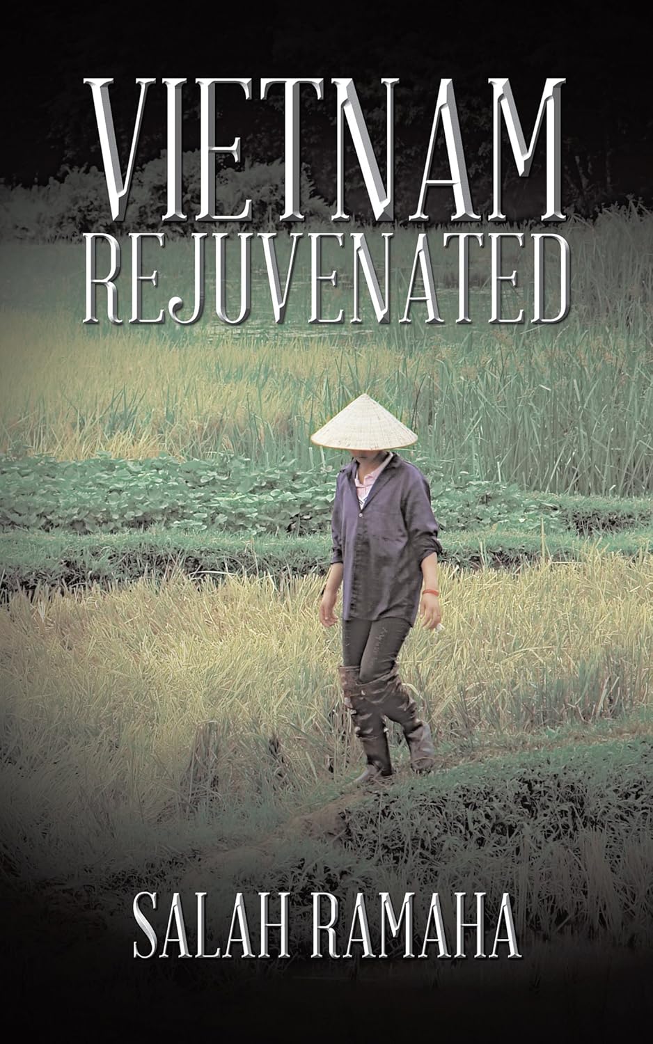 Vietnam Rejuvenated eBook : Ramaha, Salah: Amazon.in: Kindle Store