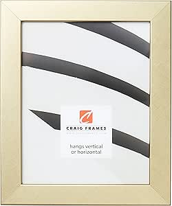 Amazon.com - Craig Frames Bauhaus 125 Picture Frame, 8.5 x 11 Inch ...