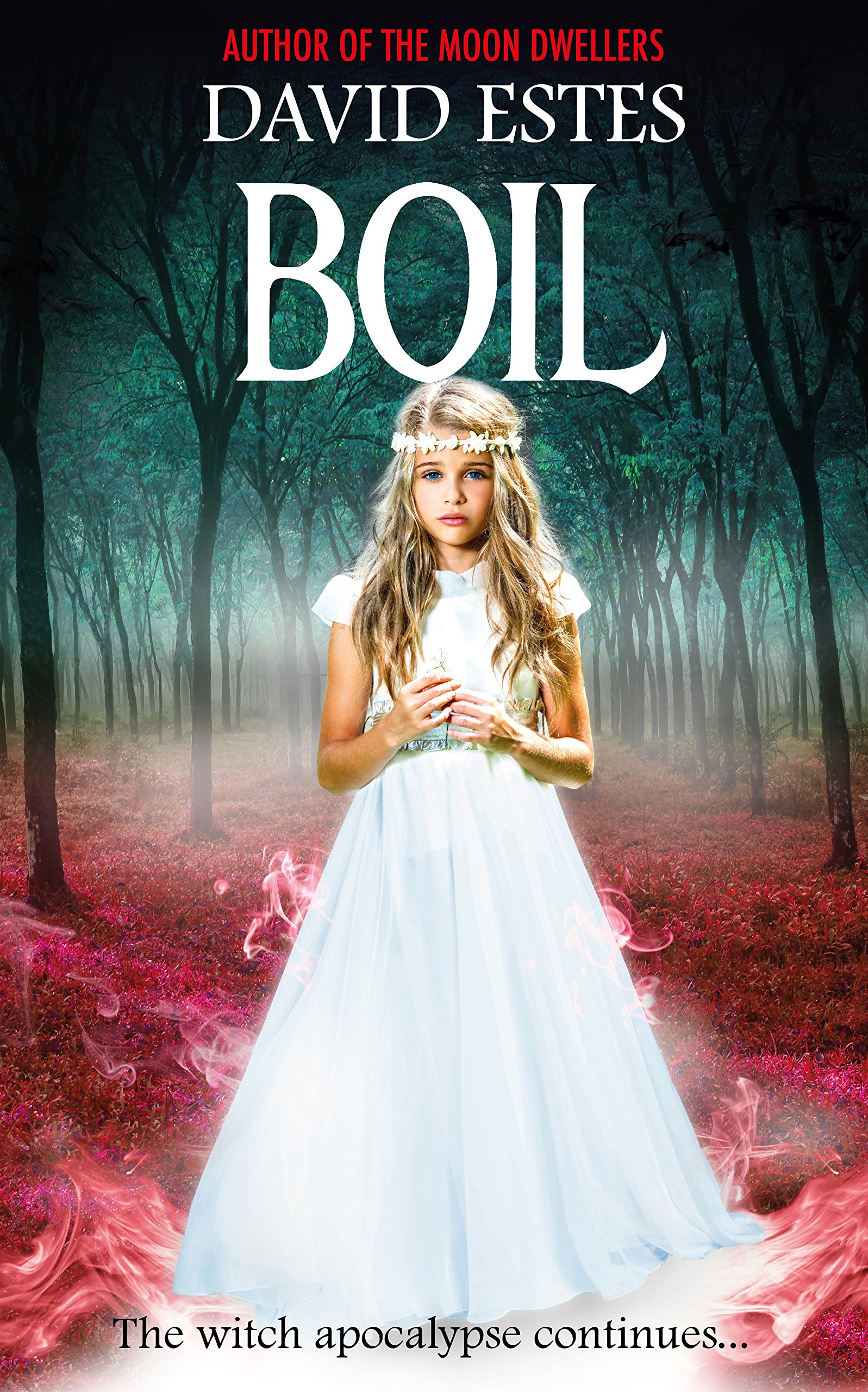 Buy Boil: A Post-Apocalyptic Witch Thriller (Salem's Revenge Book 2 ...
