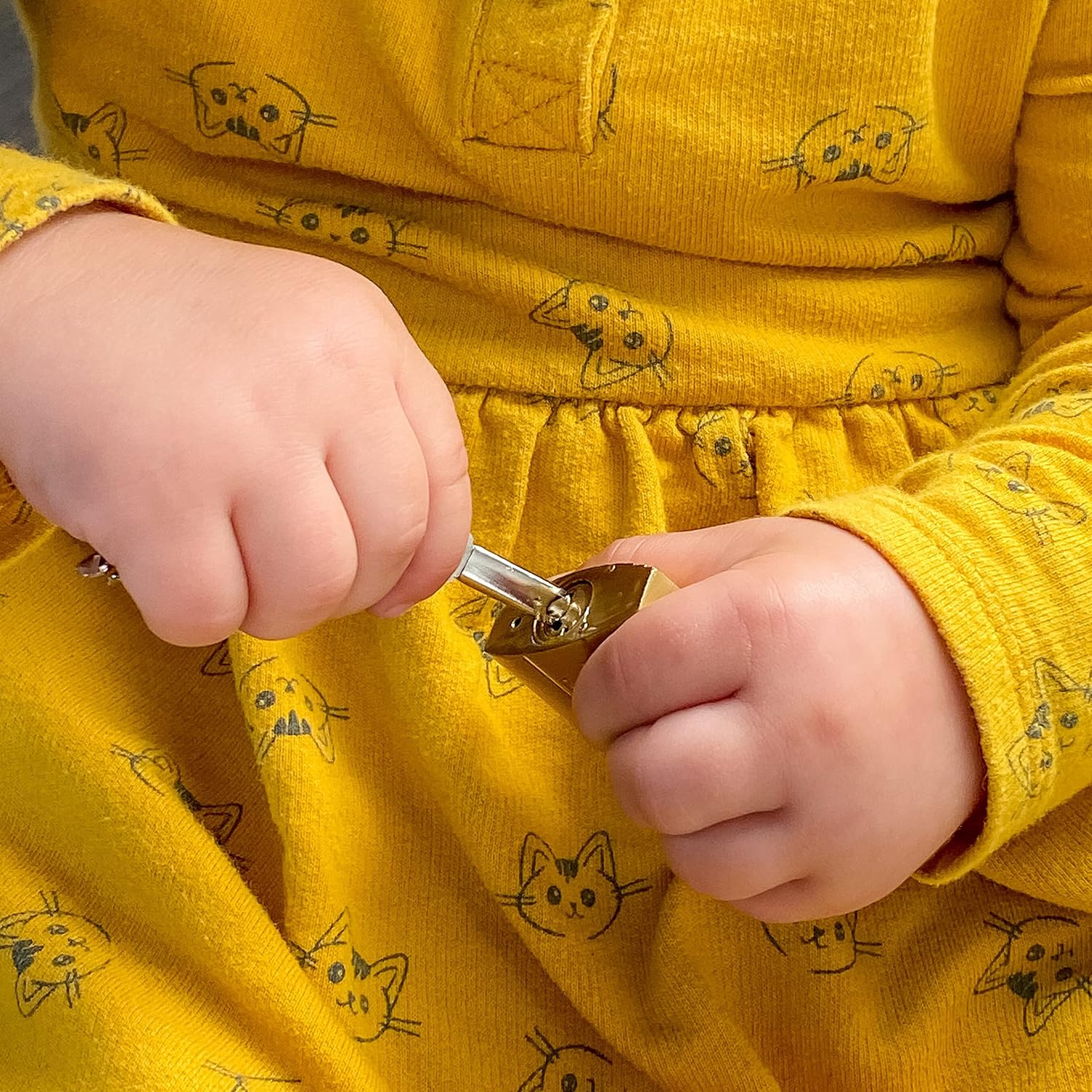 Buy Montessori Lock and Key Toy Set - Lock Set Keys for Kids ...