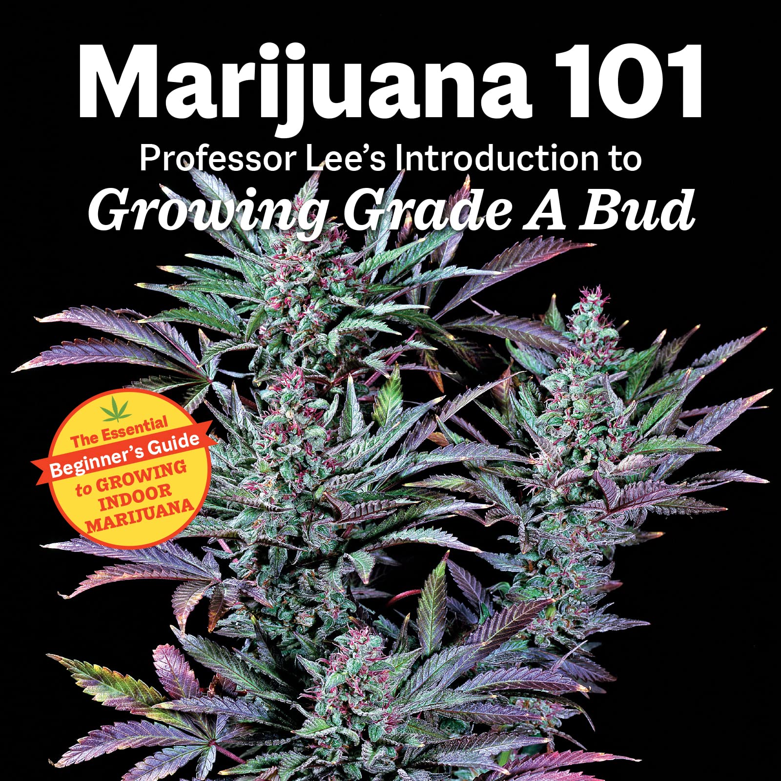 Marijuana 101: Professor Lee's Introduction to Growing Grade A Bud: Lee ...