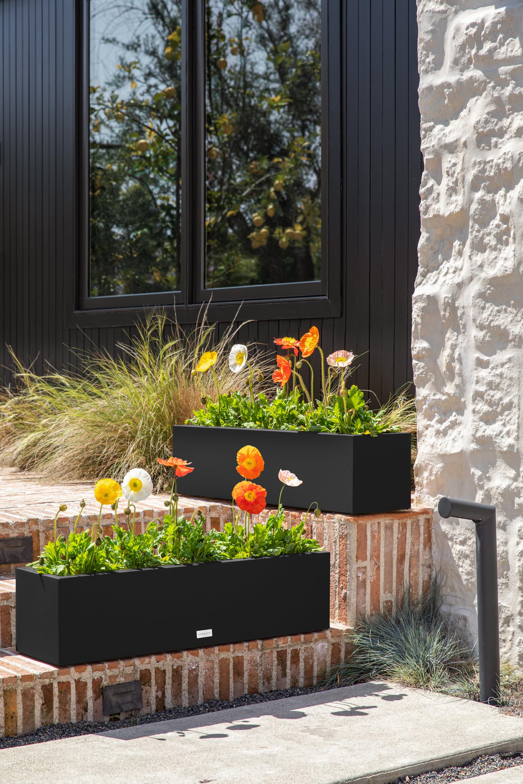 Rectangular Planters By Windows