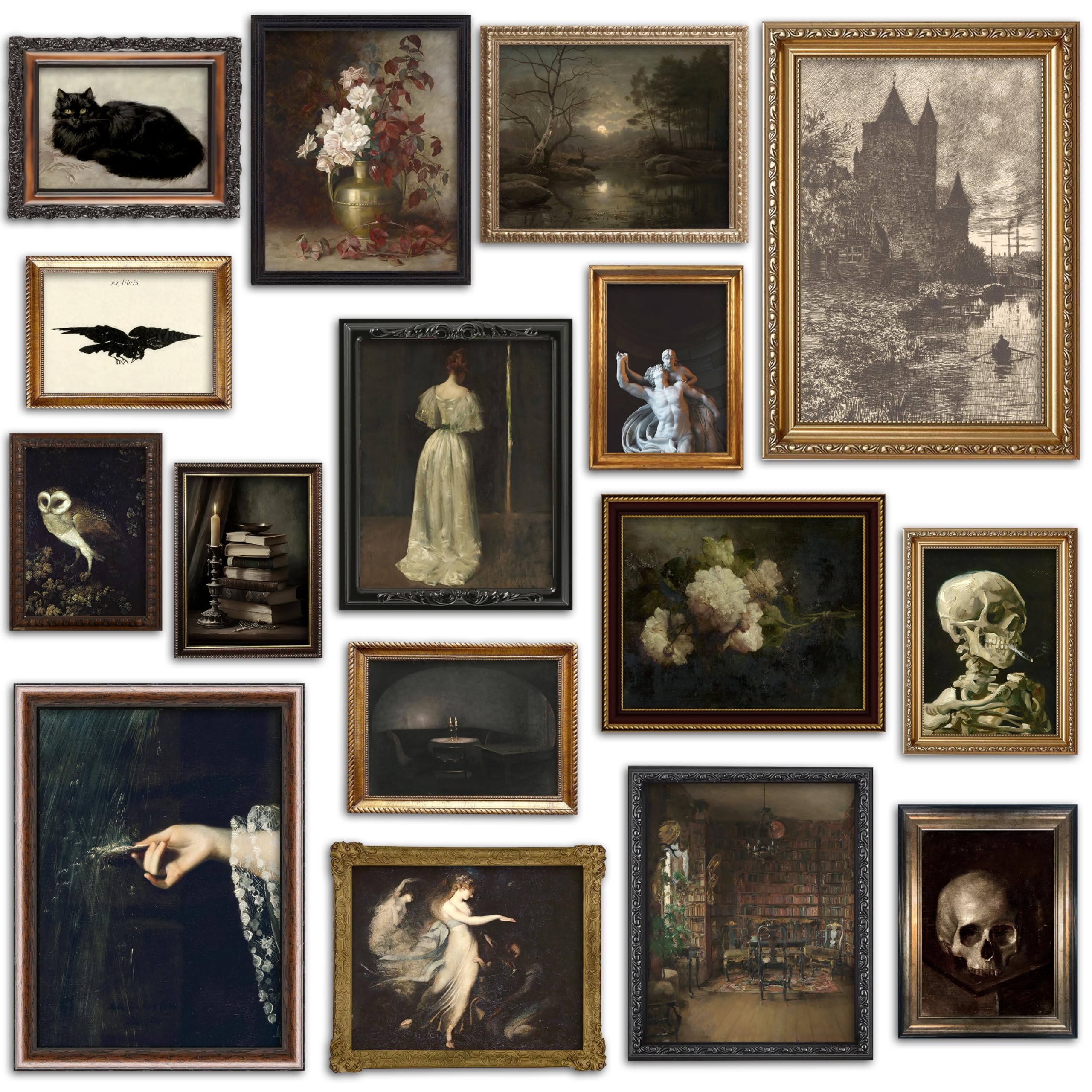 Amazon.com: AMD 16 Pcs Dark Academia Wall Art (Large Size), Dark ...