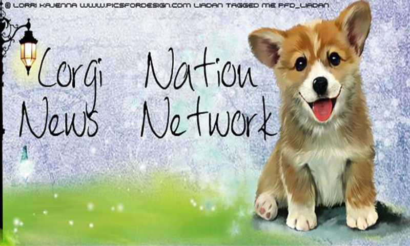 Corgi Nation News Network - App on Amazon Appstore