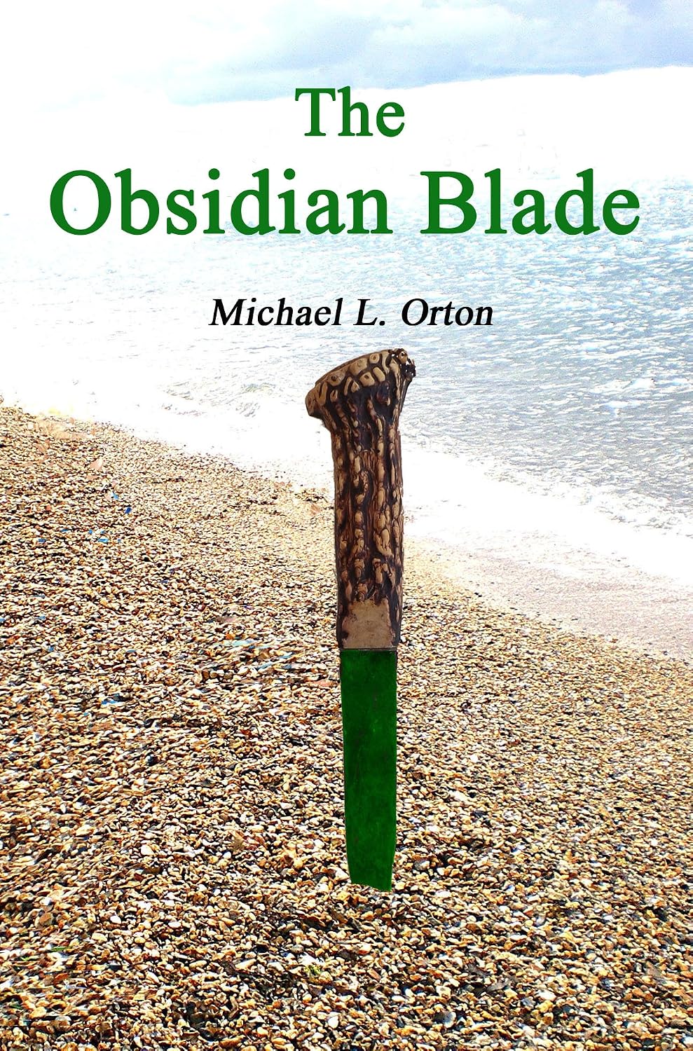 The Obsidian Blade eBook : Orton, Michael: Amazon.in: Kindle Store