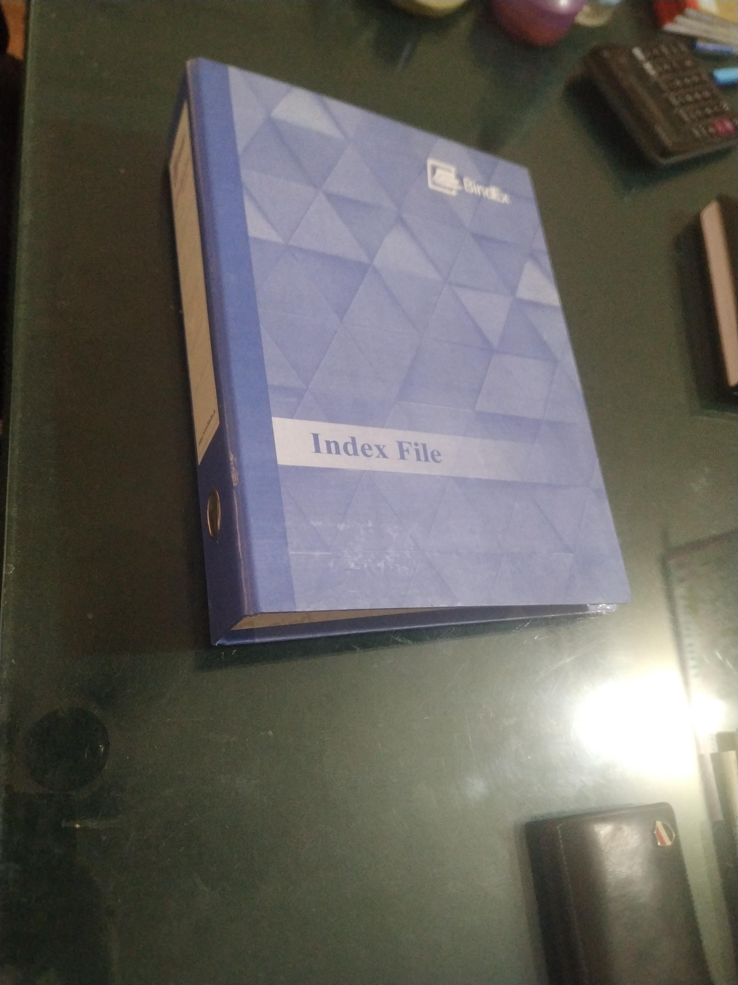 BindEx Office Lever Arch Clip Binder Box File Folder Index Cover Best ...