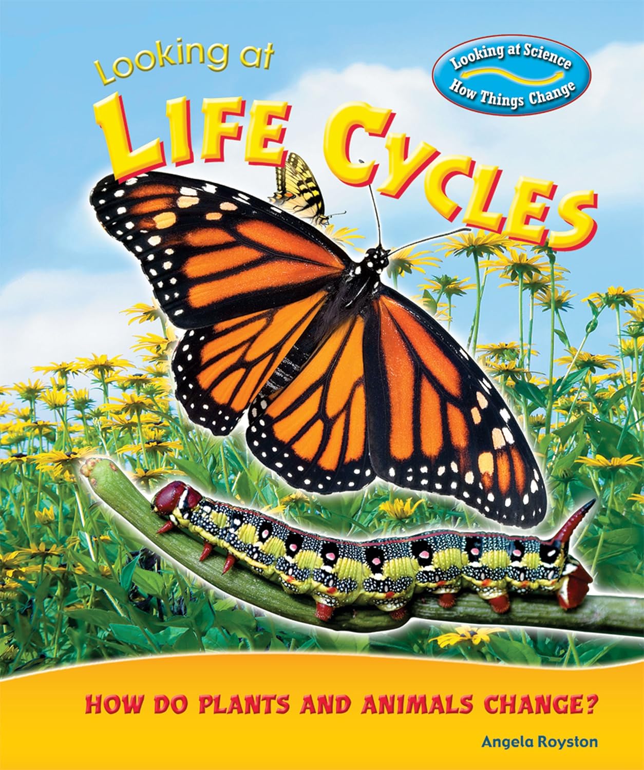 Looking at Life Cycles: How Do Plants and Animals Change? (Looking at ...