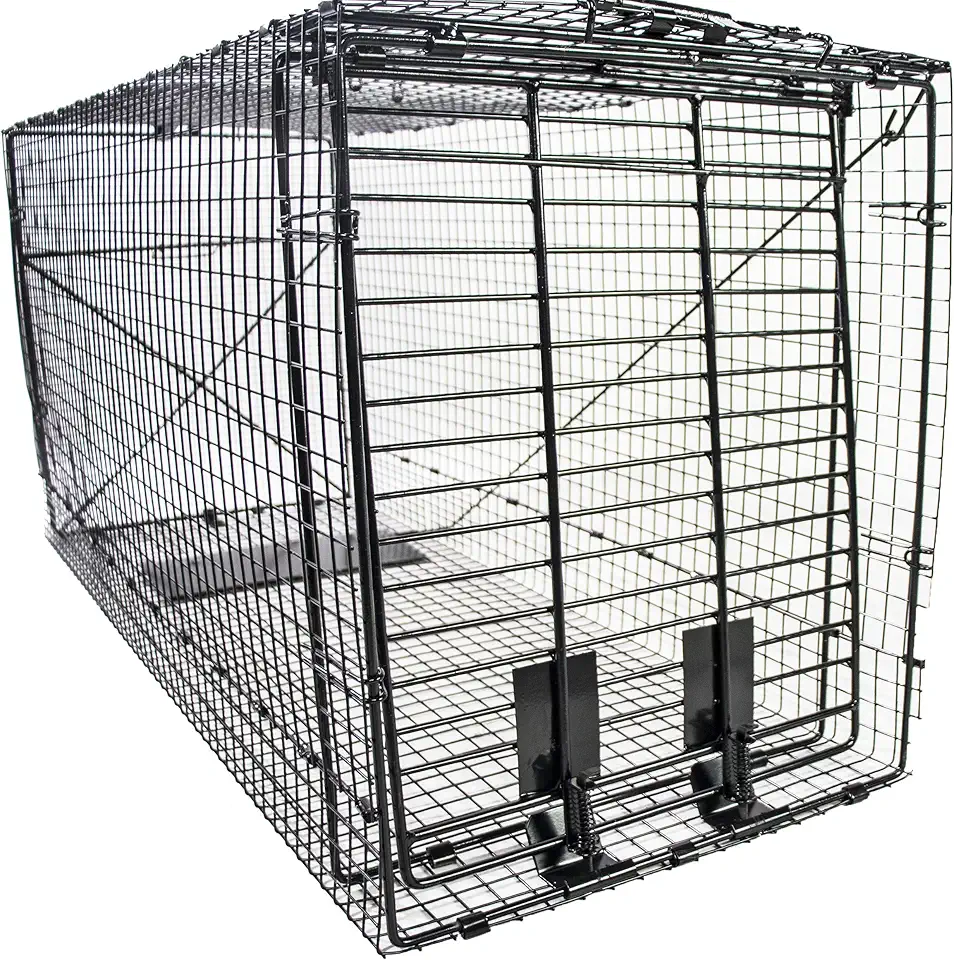 Trapping Feral Cats: Using Drop Traps For Effective Capture | PetShun