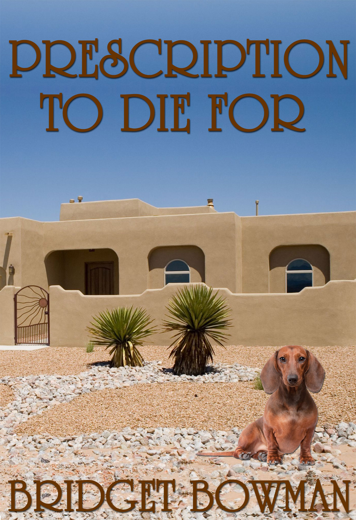Amazon.com: Bridget Bowman: books, biography, latest update