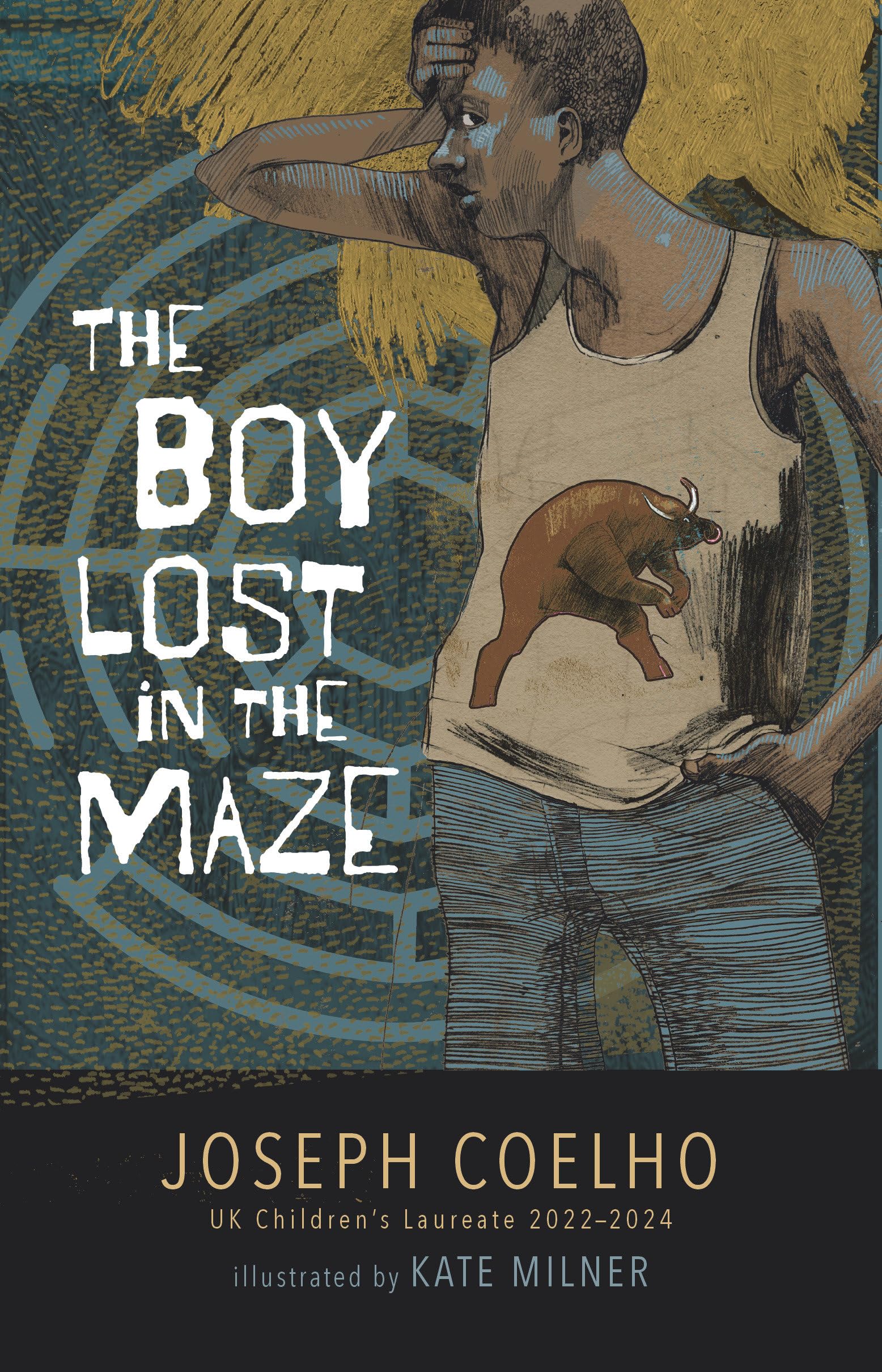 Amazon.com: The Boy Lost in the Maze: 9781536236415: Coelho, Joseph ...